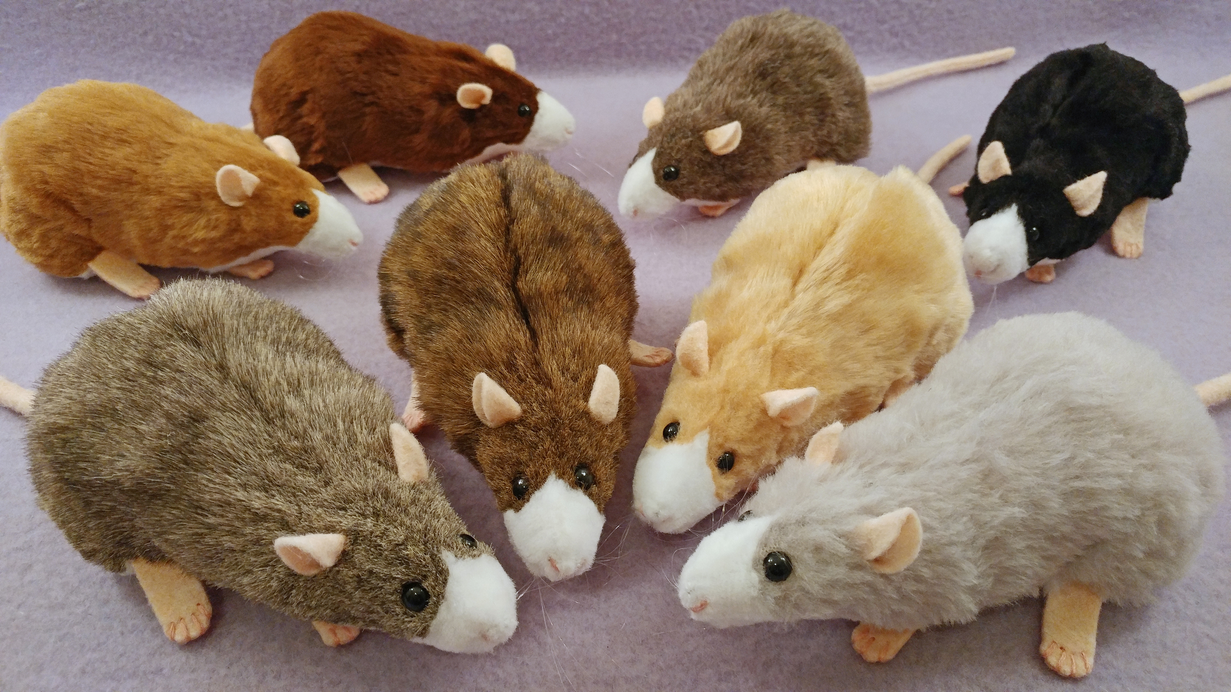 Blazed & Siamese Rats | Citrine Mouse