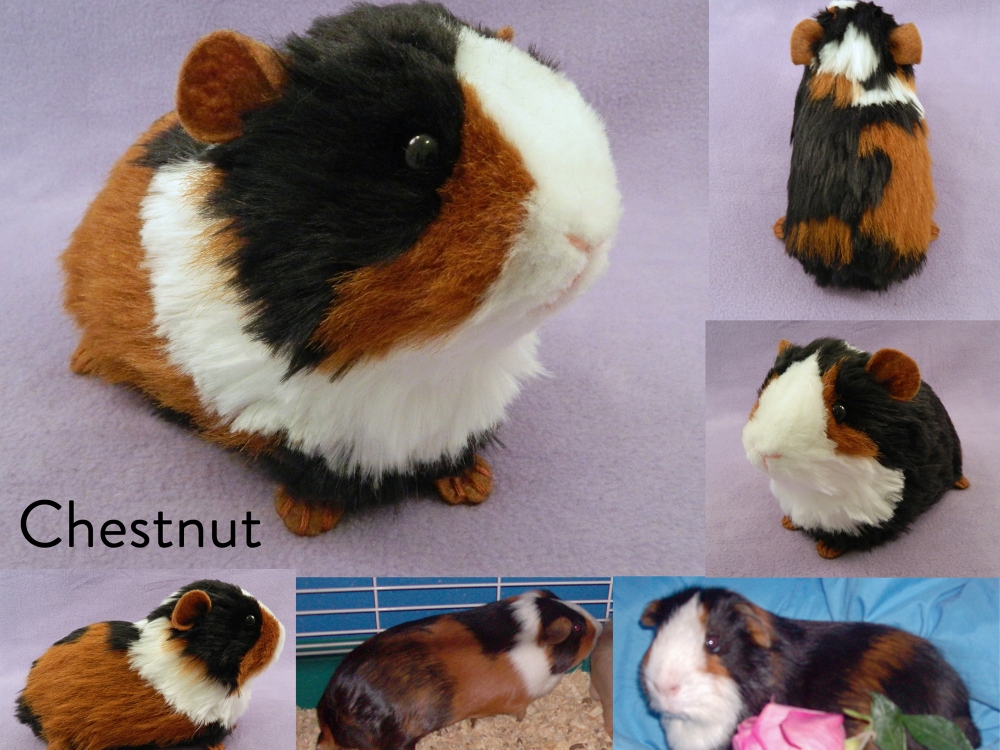 Chestnut | Citrine Mouse