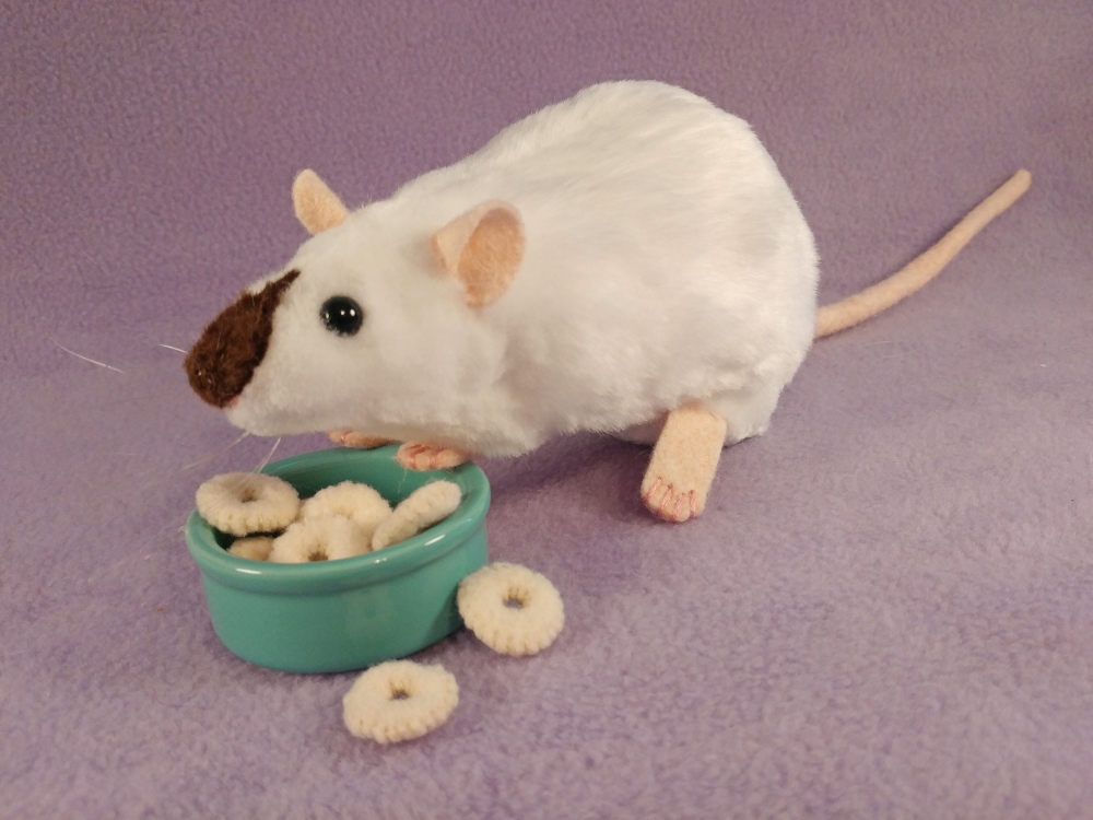 Himalayan Rat Colors