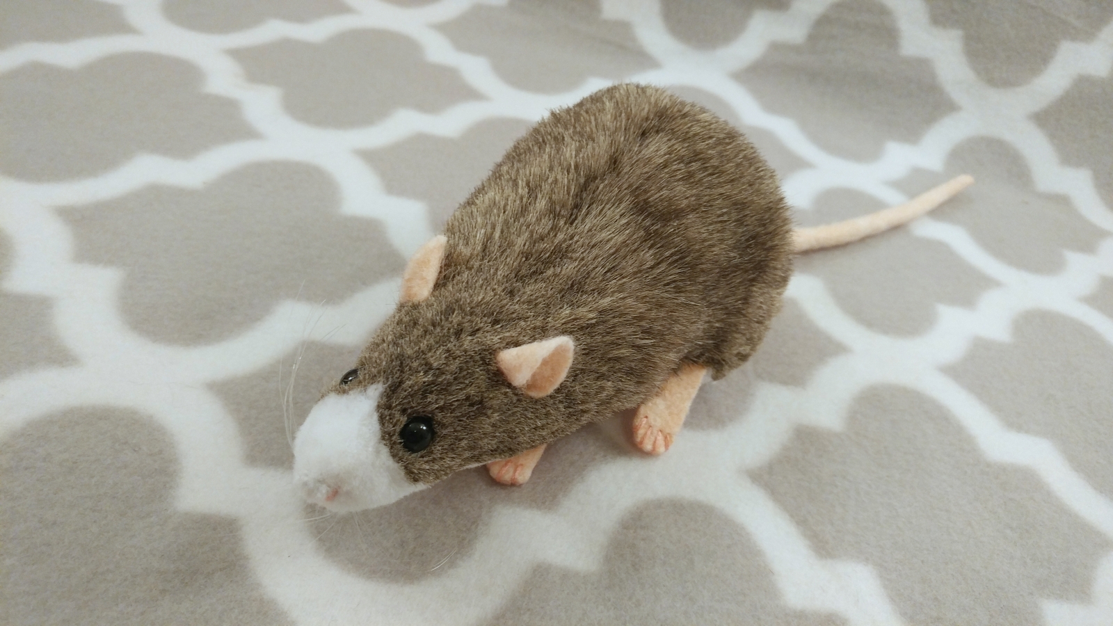 Agouti Grey Blazed Rat Plushie | Citrine Mouse
