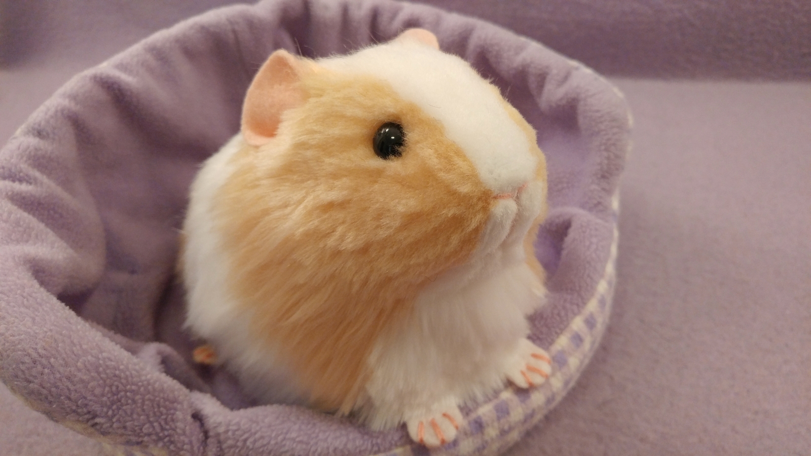 Big Buff Dutch Guinea Pig Plushie | Citrine Mouse