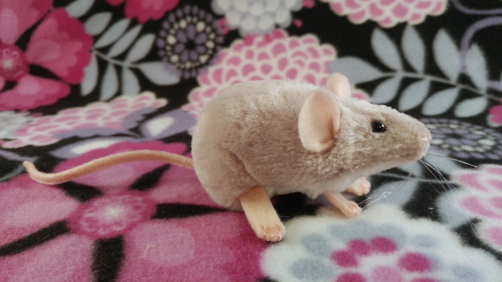 Light Pink Mouse Plushie with White Belly | Citrine Mouse
