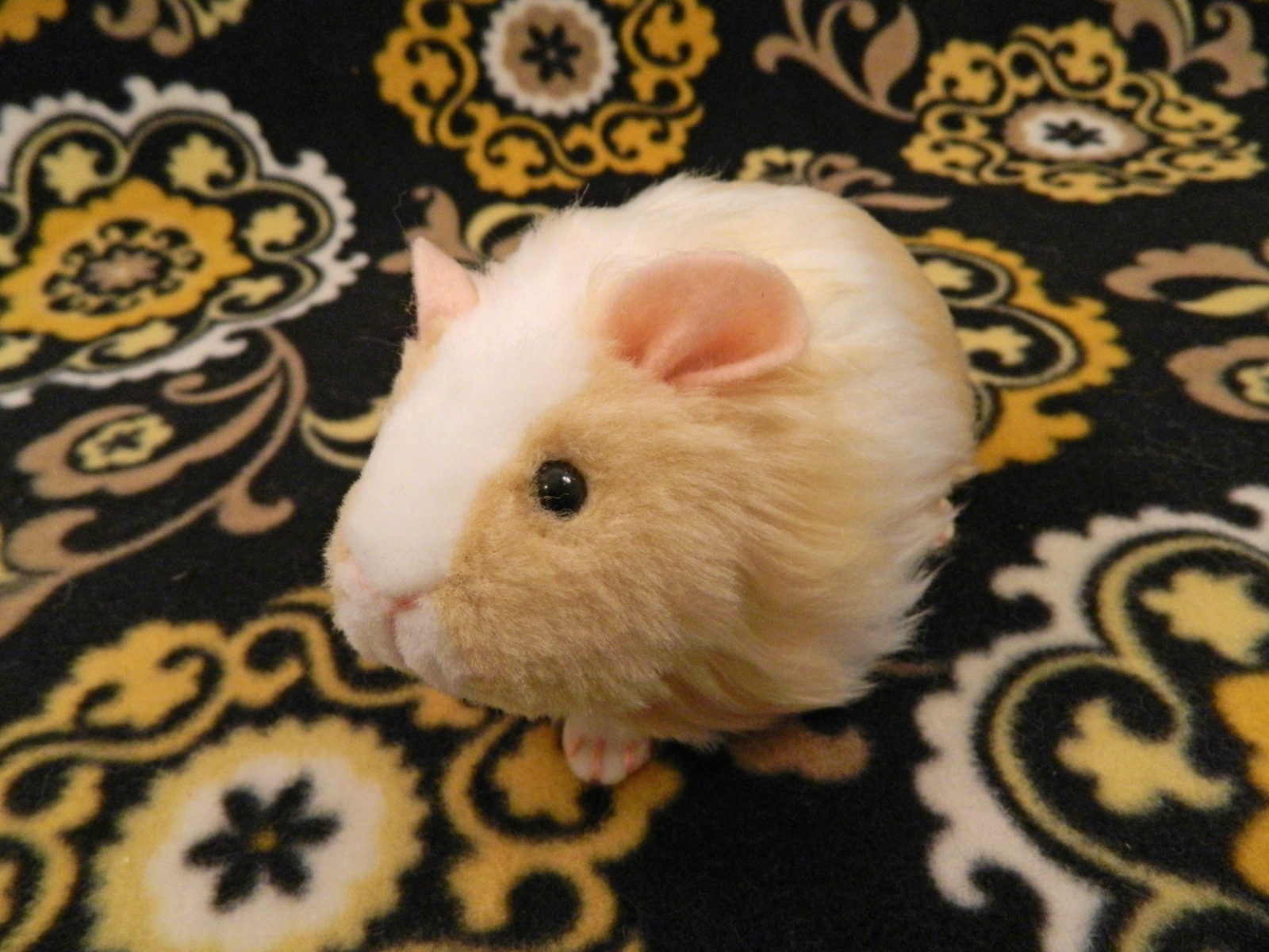 Little Buff Dutch Guinea Pig Plushie | Citrine Mouse