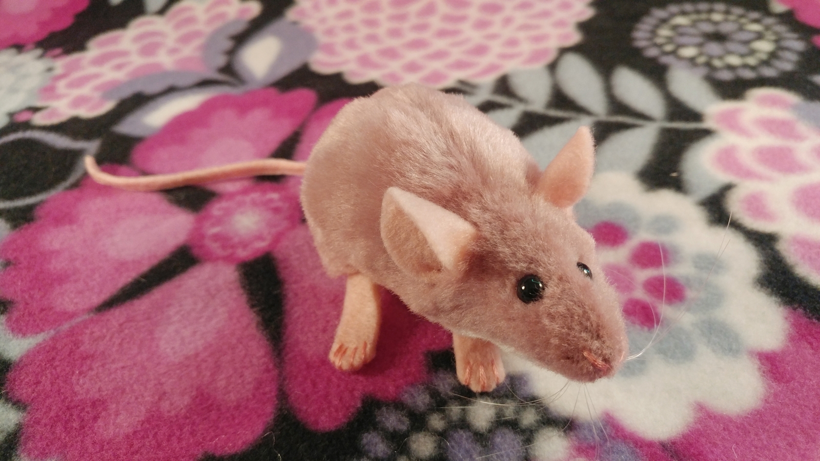 Pink Mouse Plushie with White Belly | Citrine Mouse