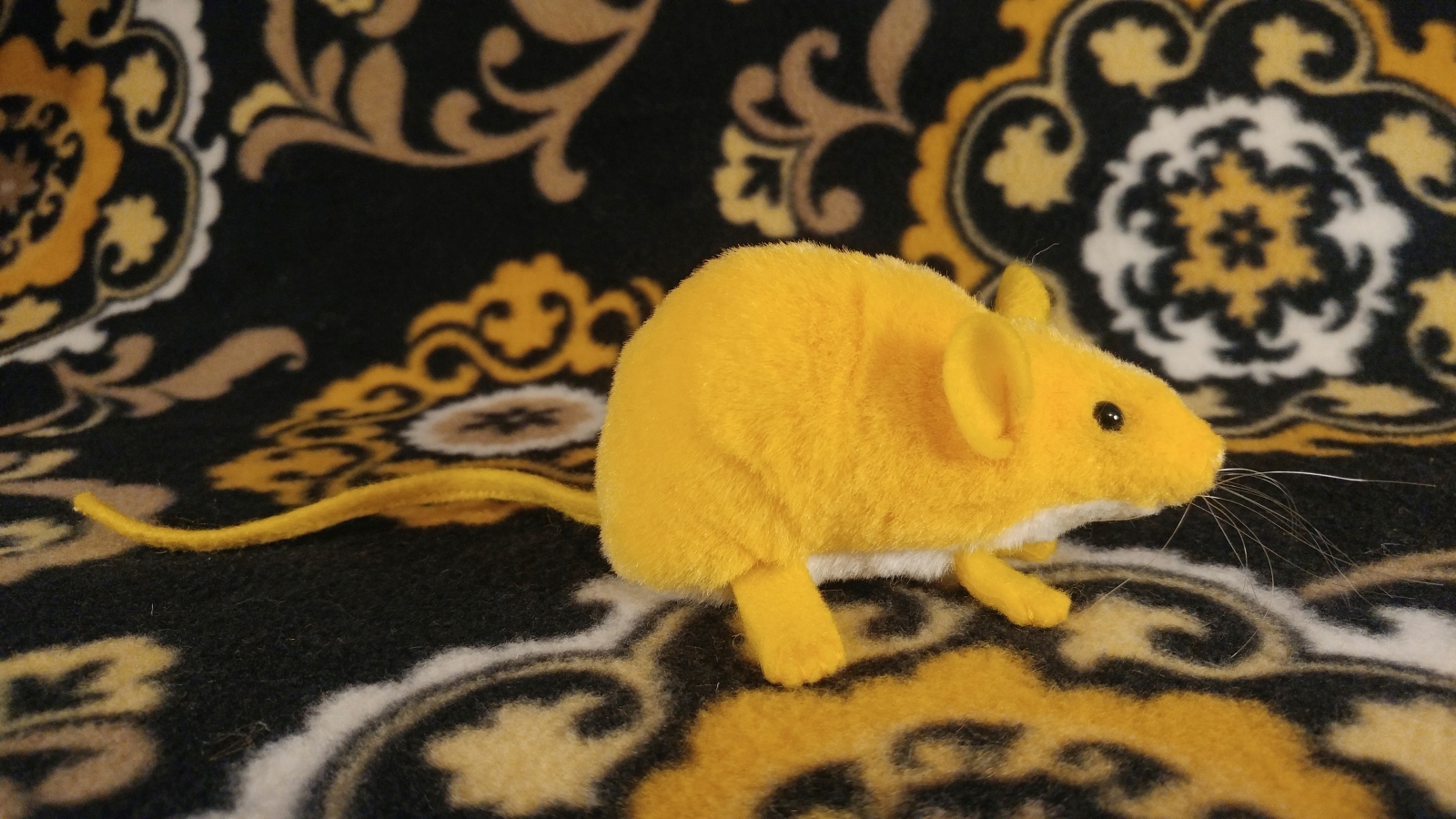 Yellow Mouse Plushie with White Belly | Citrine Mouse